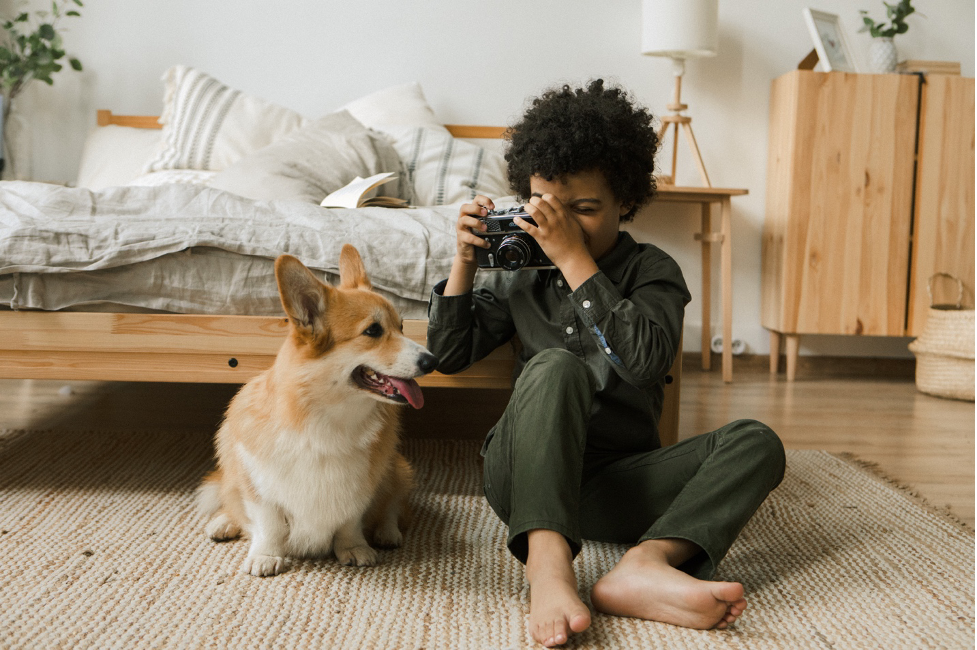 How to Take the Best Pet Pictures - blog.imagecoast.com